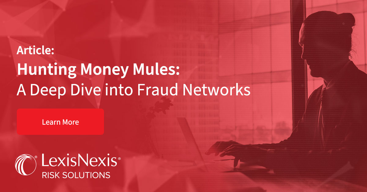 Hunting Money Mules: A Deep Dive into Fraud Networks